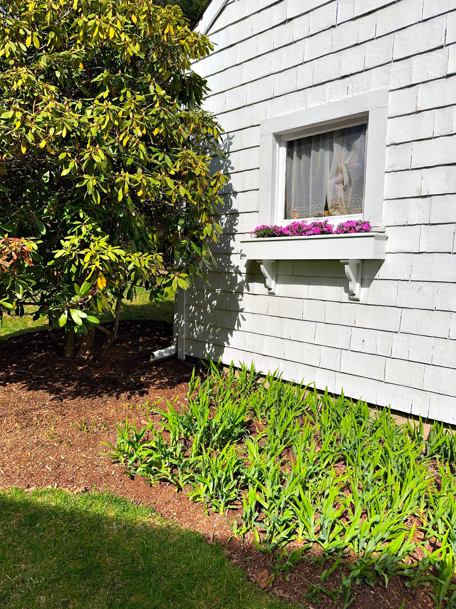 Eek! Lips. – russ murray